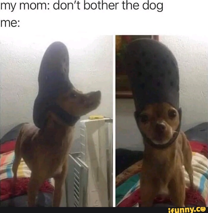 My mom: the cog me: - iFunny