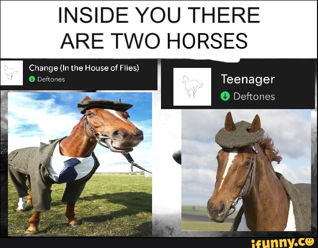 Horses memes. Best Collection of funny Horses pictures on iFunny