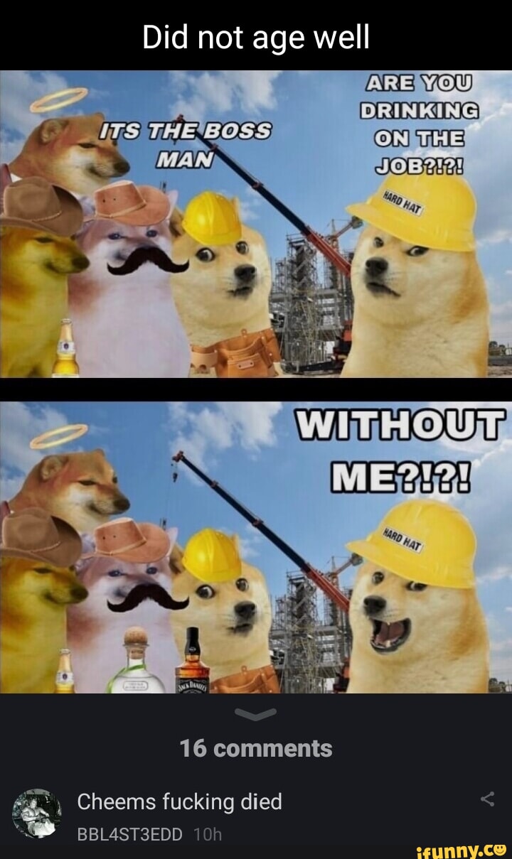 Cheems memes. Best Collection of funny Cheems pictures on iFunny