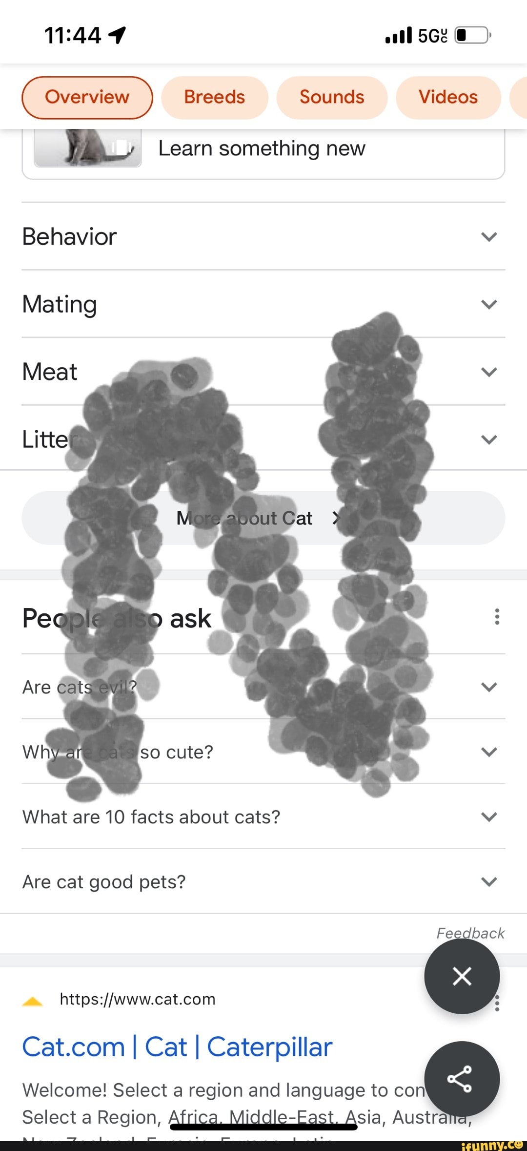 Overview Breeds Sounds Videos I Learn something new Behavior Mating ...