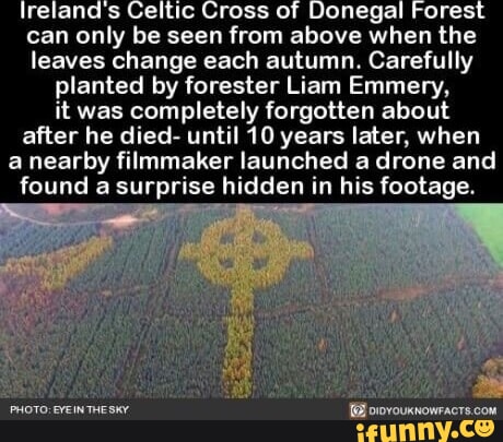 Donegal memes. Best Collection of funny Donegal pictures on iFunny
