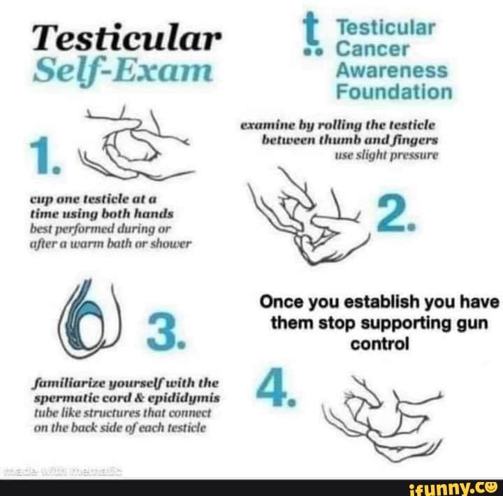 Testicular Testicular Self-Exam Awareness Foundation examine by rolling ...