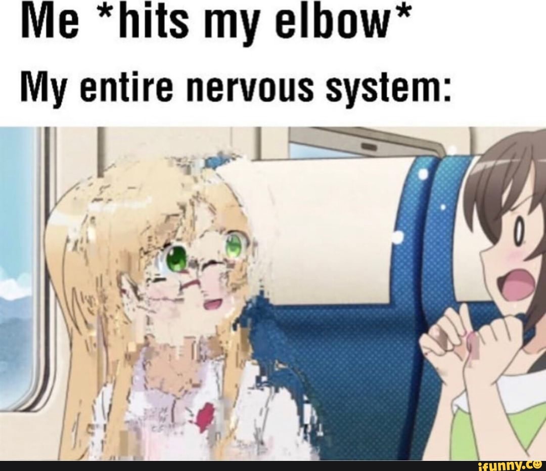 Me *hits my elbow* My entire nervous system: - iFunny