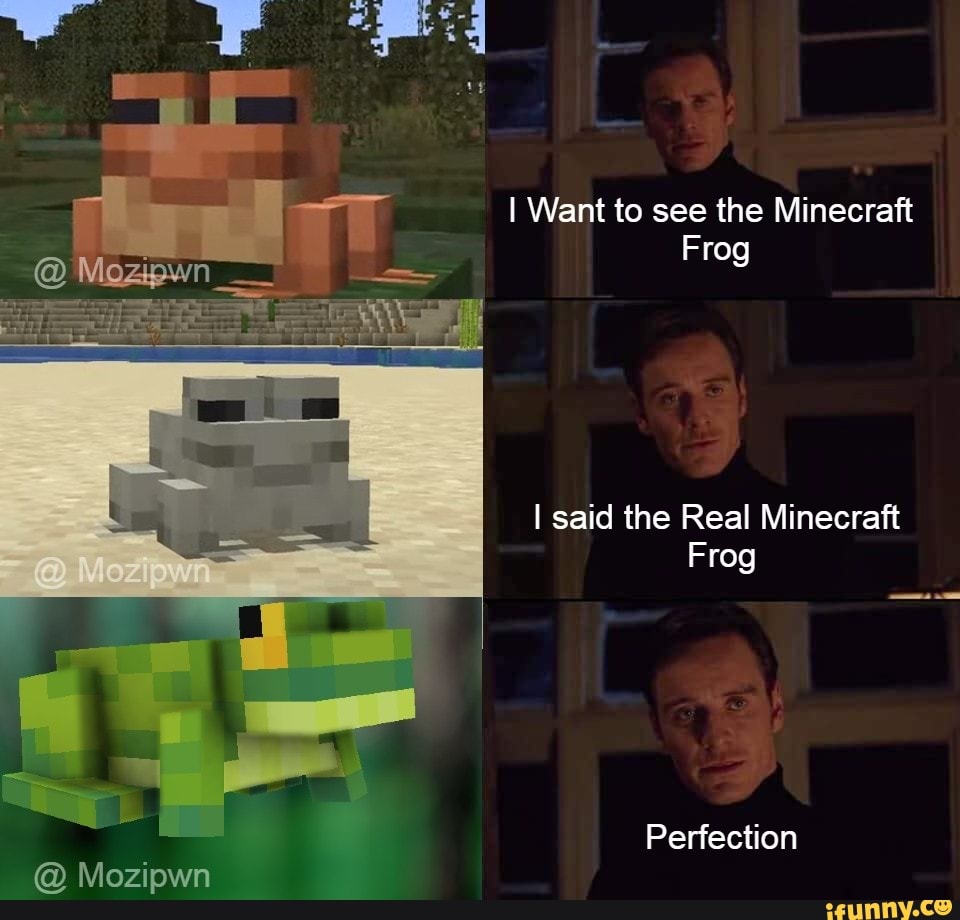 I Want to see the Minecraft Frog I said the Real Minecraft Frog ...
