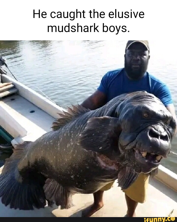 He caught the elusive mudshark boys. - iFunny Brazil