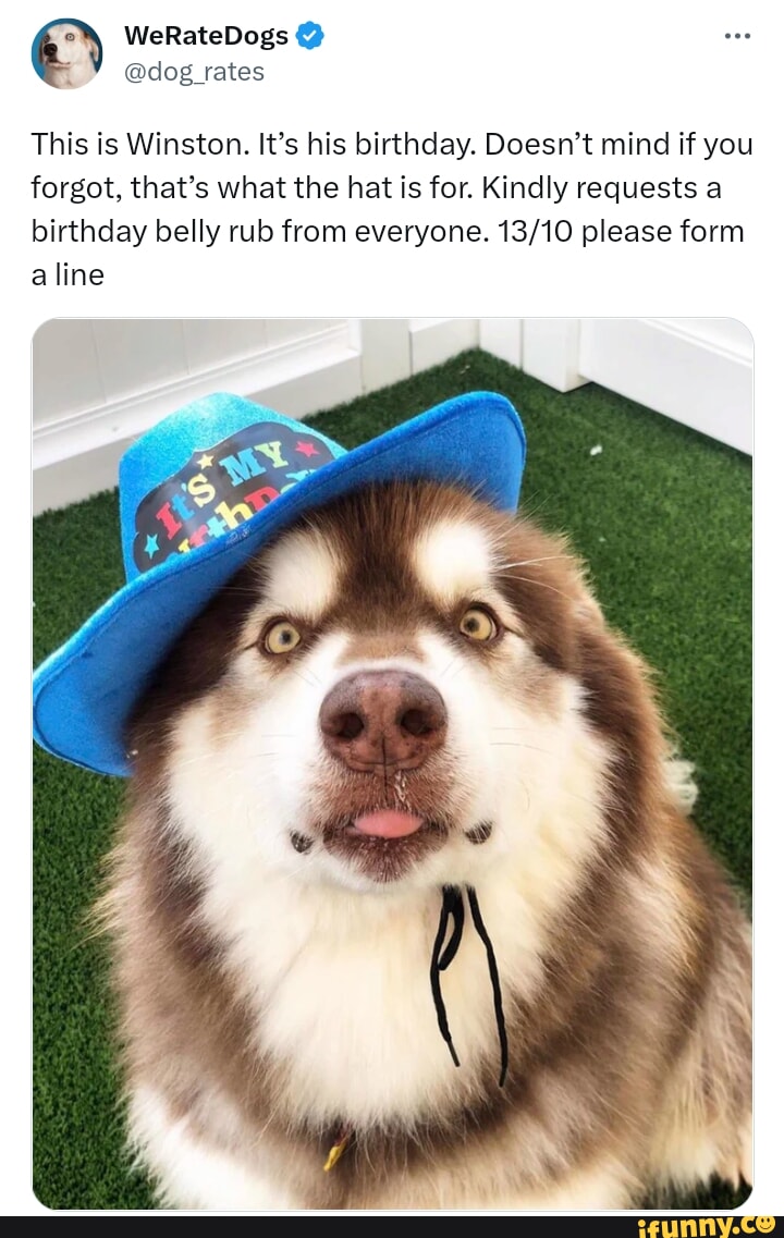 Kindly memes. Best Collection of funny Kindly pictures on iFunny