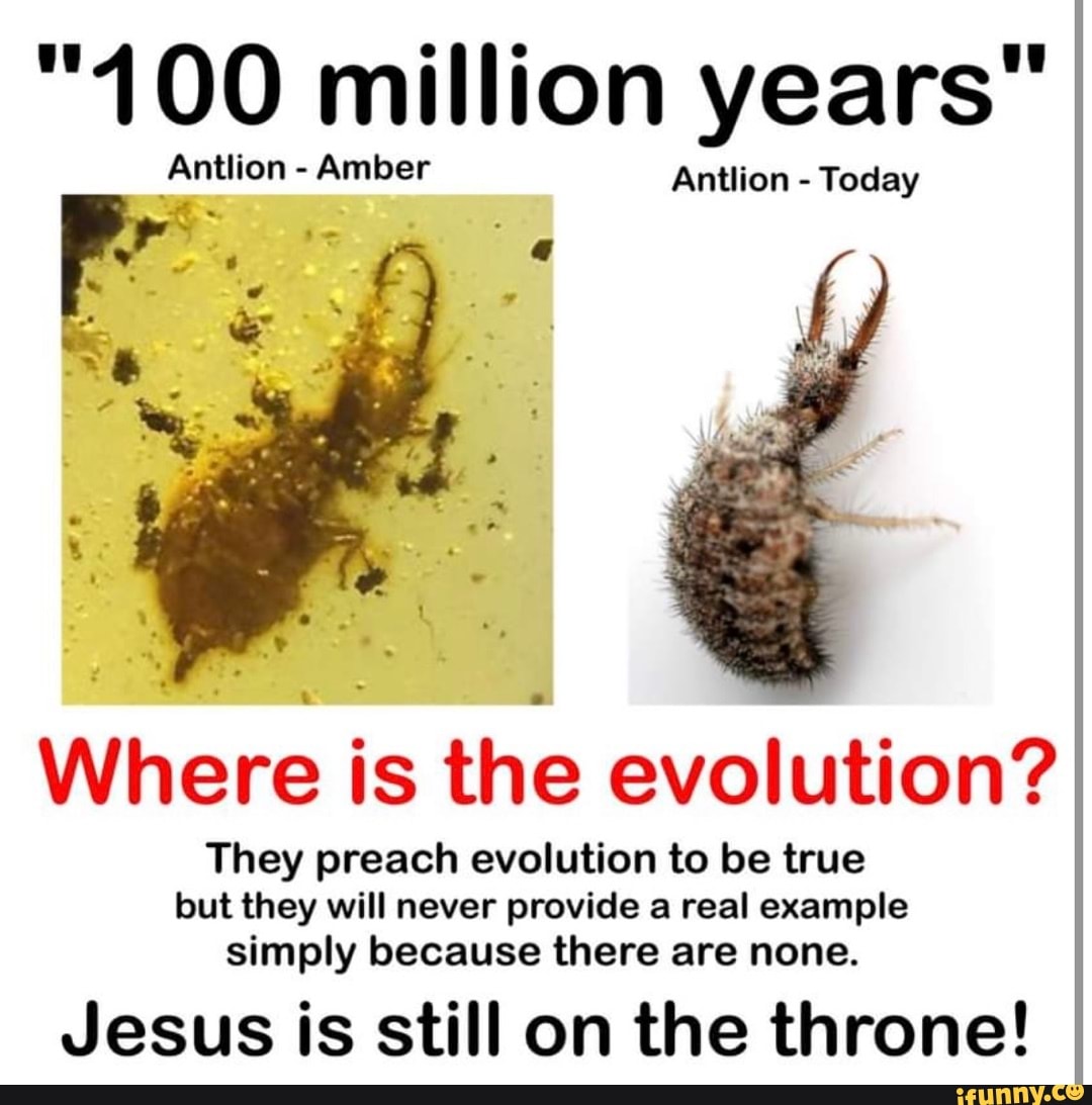 Antlion memes. Best Collection of funny Antlion pictures on iFunny