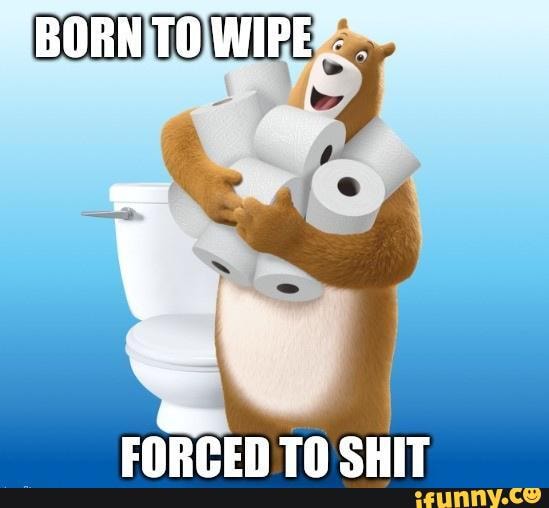 Charmin_bears memes. Best Collection of funny Charmin_bears pictures on ...