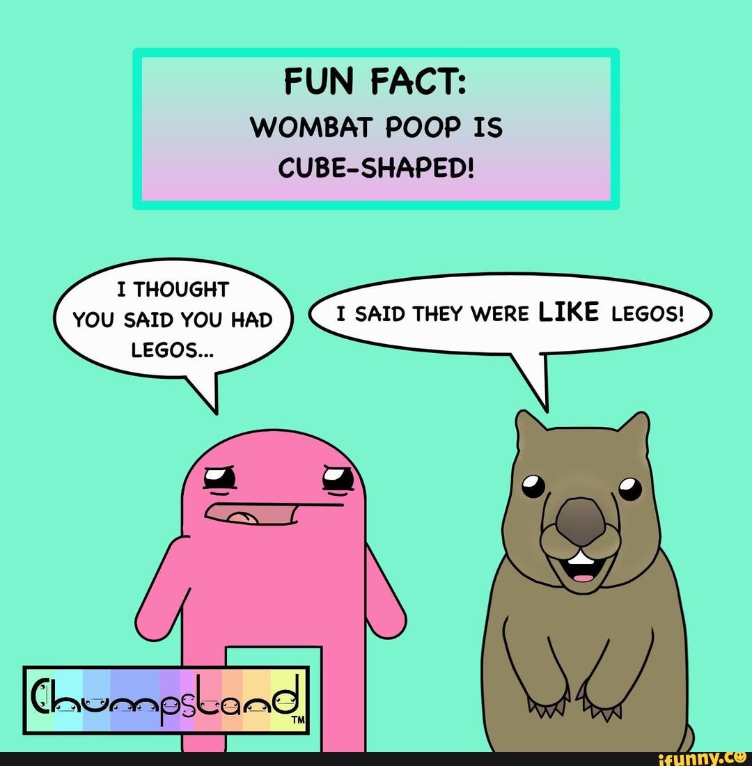 FUN FACT: WOMBAT POOP IS CUBE-SHAPED! I THOUGHT YOU SAID YOU HAD I SAID ...