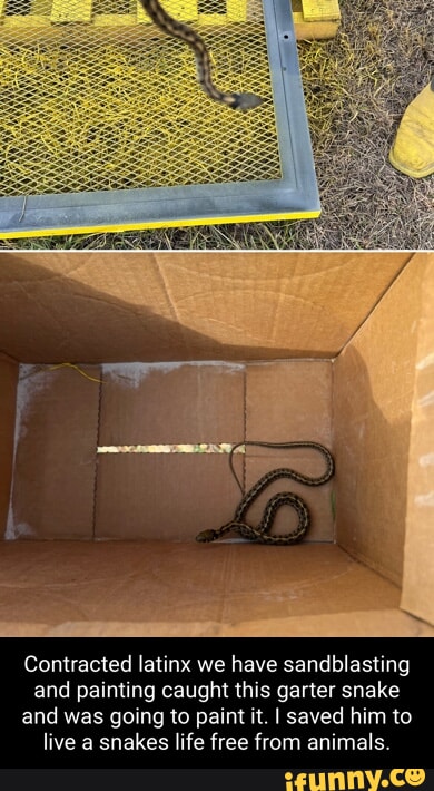 Sandblasting memes. Best Collection of funny Sandblasting pictures on ...