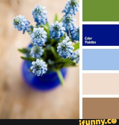 Palettes memes. Best Collection of funny Palettes pictures on iFunny