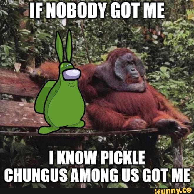 IF NOBODY GOT ME KNOW PICKLE CHUNGUS AMONG US GOT ME - iFunny