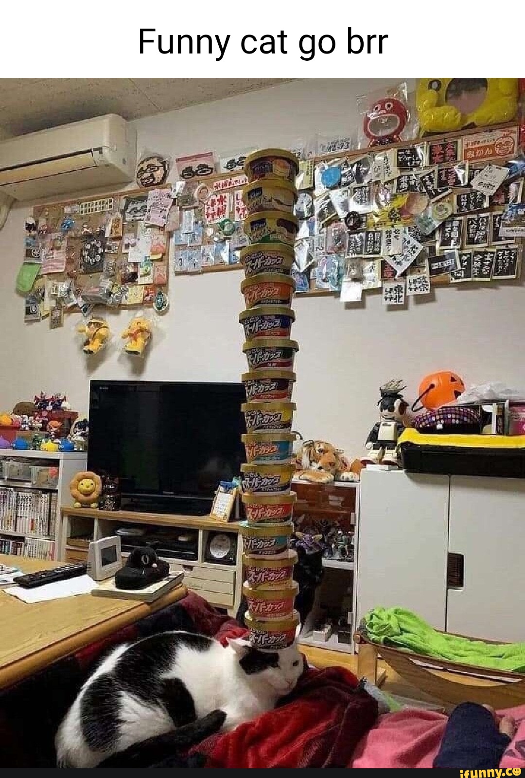 Funny cat go brr - iFunny