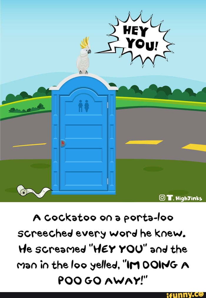 Portaloo memes. Best Collection of funny Portaloo pictures on iFunny
