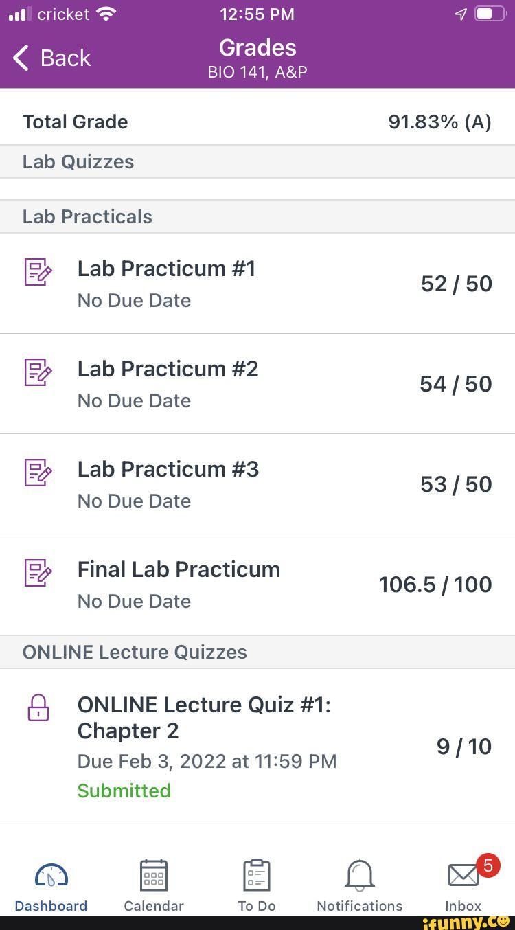 Practicum memes. Best Collection of funny Practicum pictures on iFunny