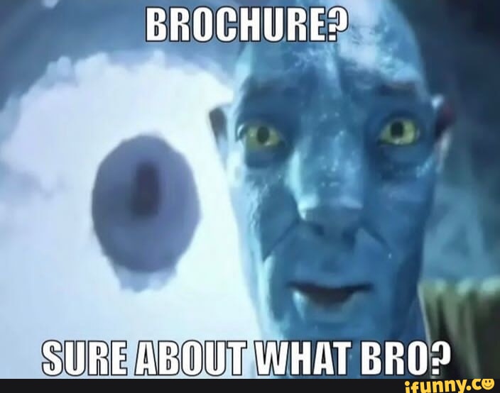 BROCHURE? SURE ABOUT WHAT BRO? - iFunny