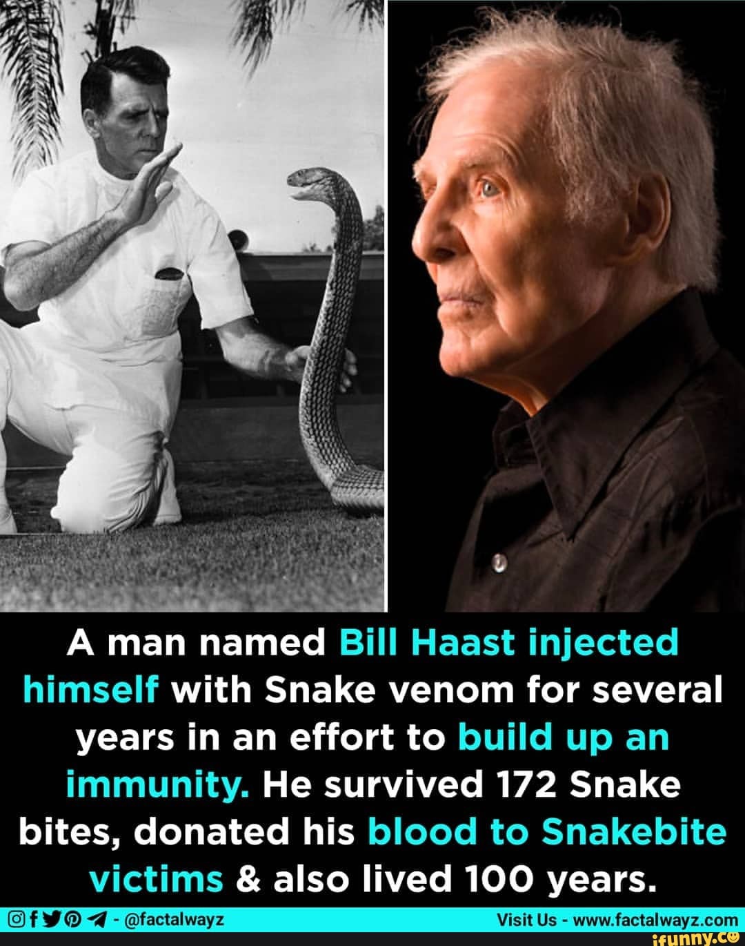 A man named Bill Haast injected himself with Snake venom for several ...