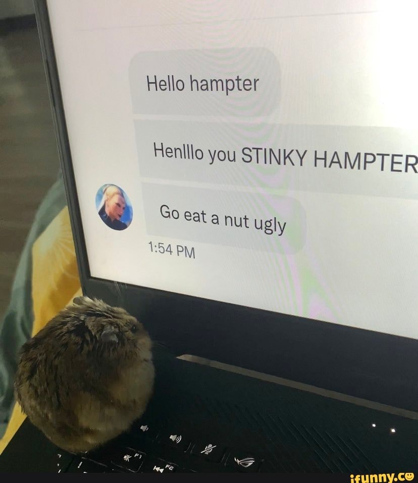 Hello hampter Henlllo you STINKY HAMPTER Go eat a nut ugly Ply - iFunny