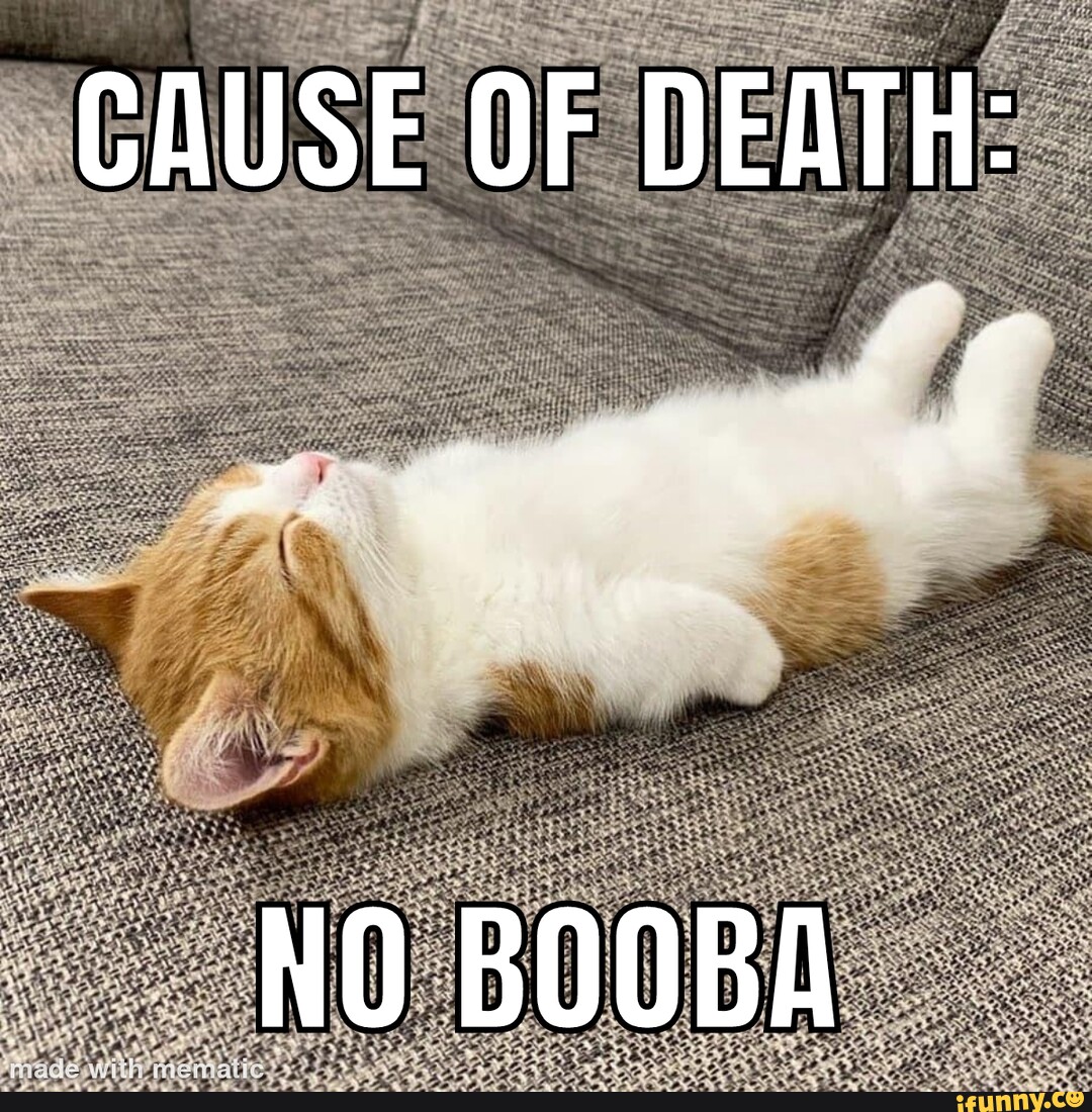 Rip in peace - CAUSE OF DEATH: NO BOOBA - iFunny