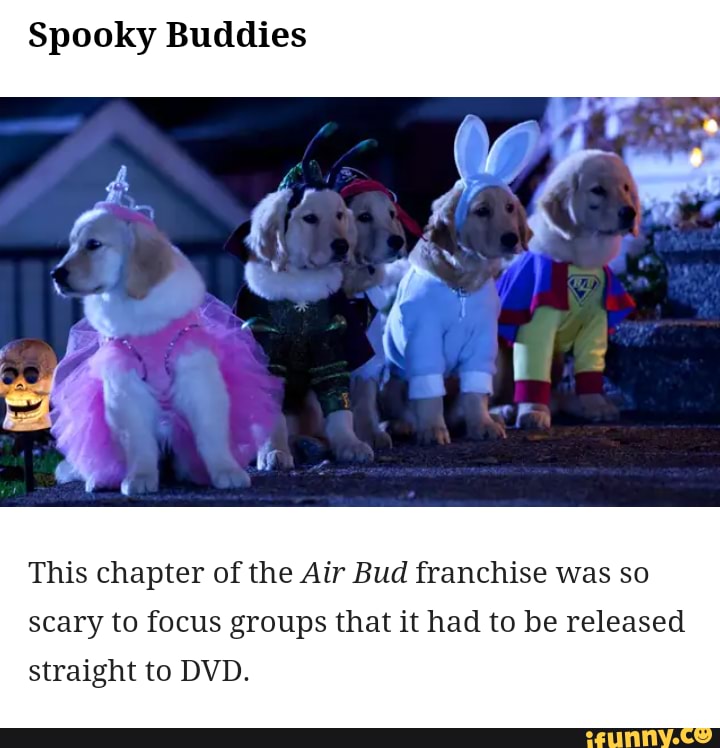 Shameless_plug memes. Best Collection of funny Shameless_plug pictures ...