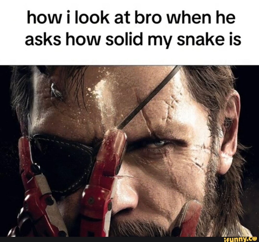How look at bro when he asks how solid my snake is - iFunny