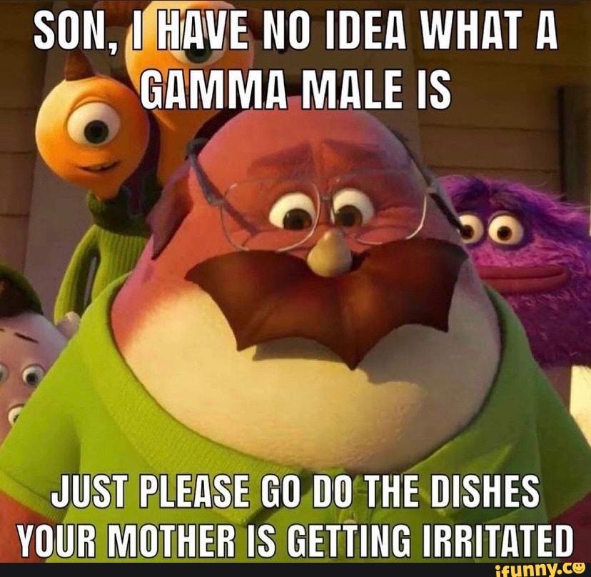 SON, I HAVE NO IDEA WHAT A GAMMA MALE IS AR JUST PLEASE GO DO THE ...
