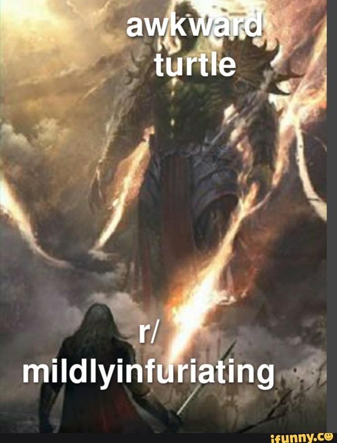 Awkward turtle mildlyinfuriating - iFunny