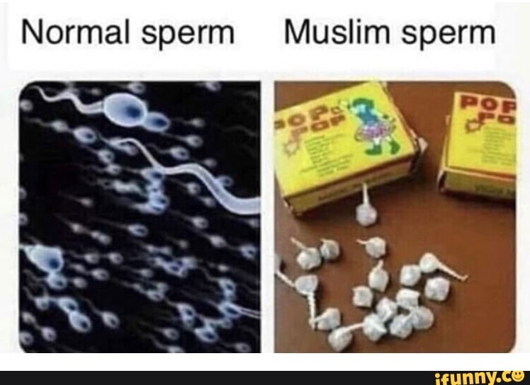 Normal Sperm Muslim Sperm Ifunny