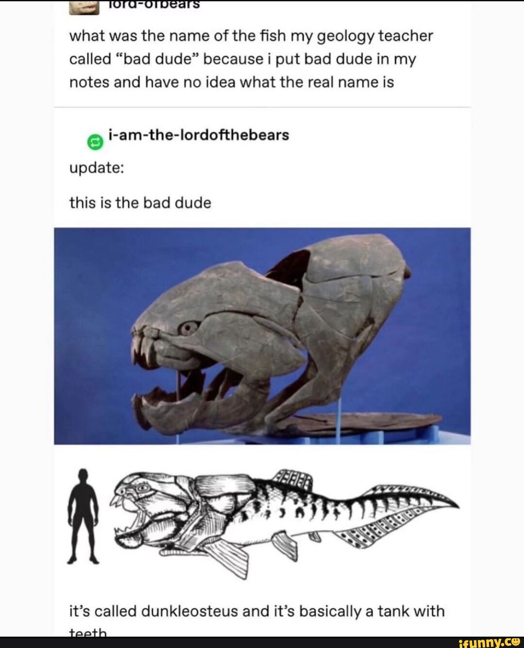 Dunkleosteus memes. Best Collection of funny Dunkleosteus pictures on ...