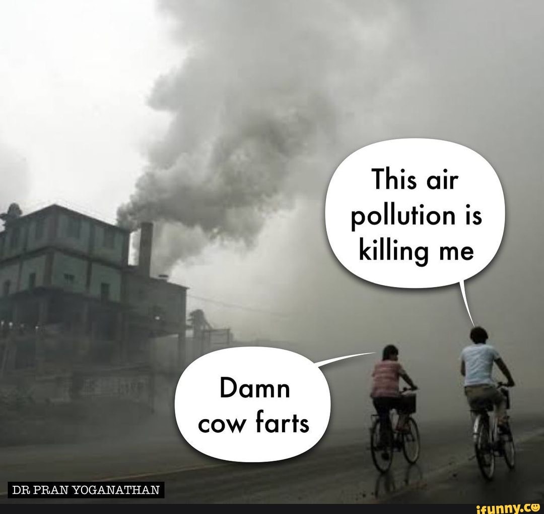 This air pollution is killing me Damn cow farts DR PRAN YOGANATHAN - iFunny
