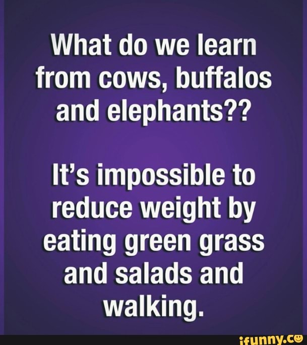 What Do We Learn From Cows Buffalos And Elephants It s Impossible To what-do-we-learn-from-cows-buffalos-and-elephants-it-s-impossible-to