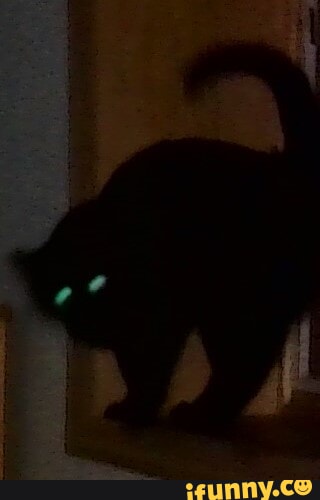 Picture memes 50FPzbQ6C by Lennny: 2 comments - iFunny