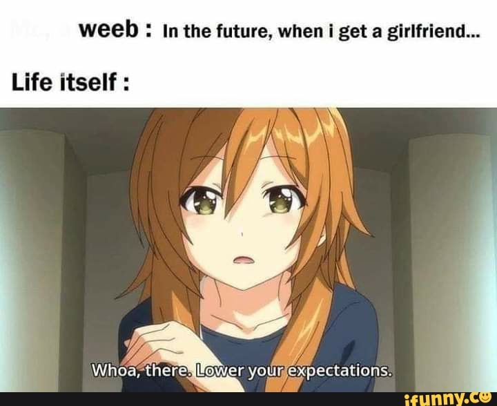 Weeb In the future, when i get a girlfriend... Life itself - iFunny