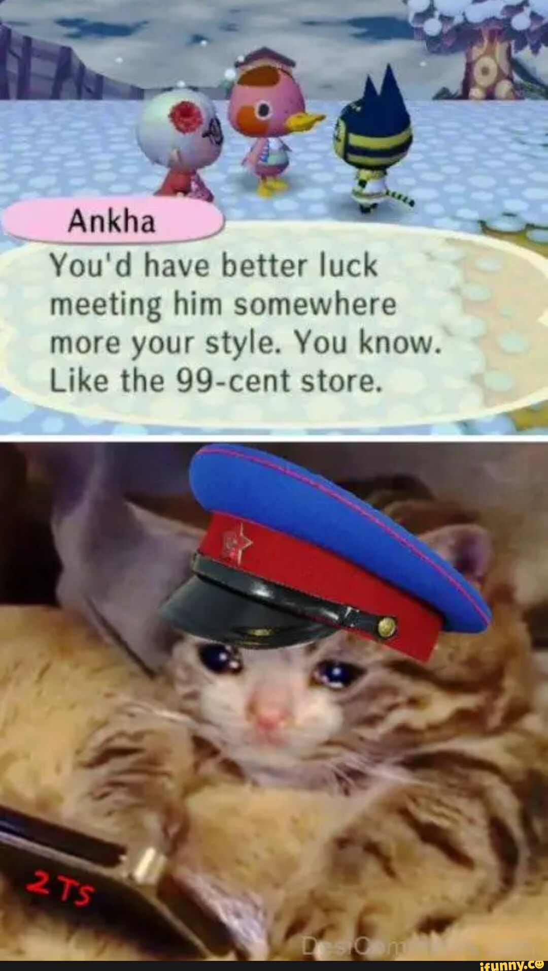 Ankha memes. Best Collection of funny Ankha pictures on iFunny