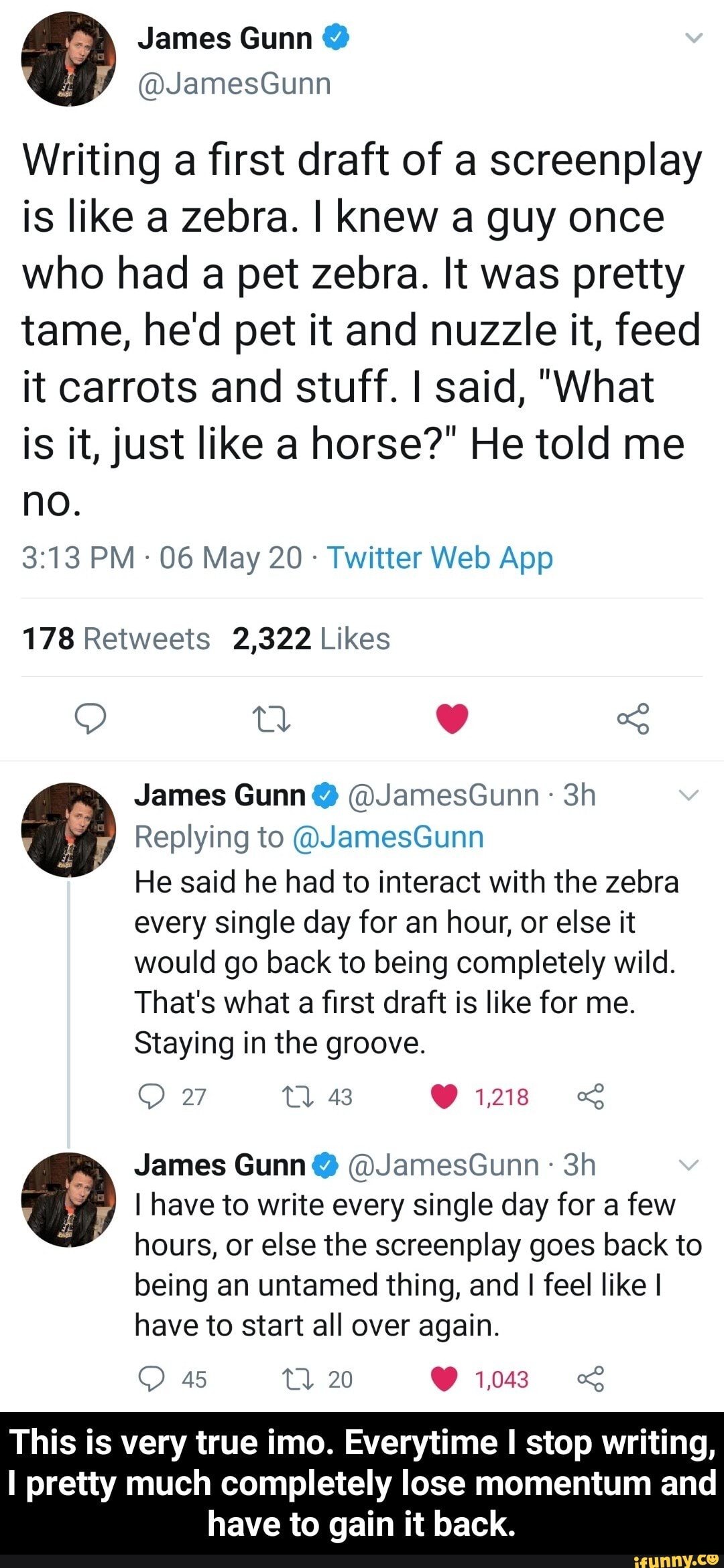 James Gunn Writing a first draft of a screenplay is like a zebra. I ...