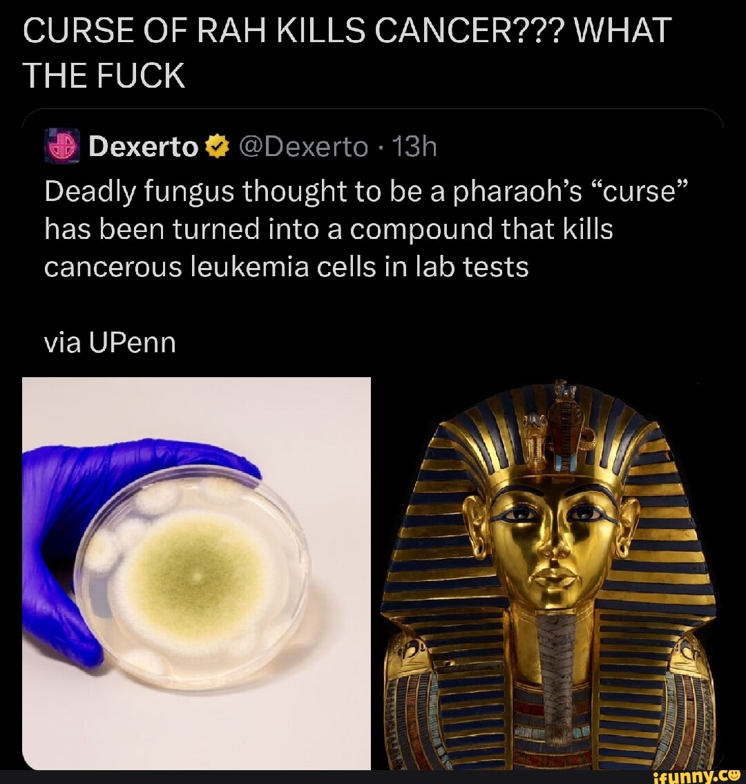 CURSE OF RAH KILLS CANCER??? WHAT THE FUCK @Dexerto Deadly fungus ...