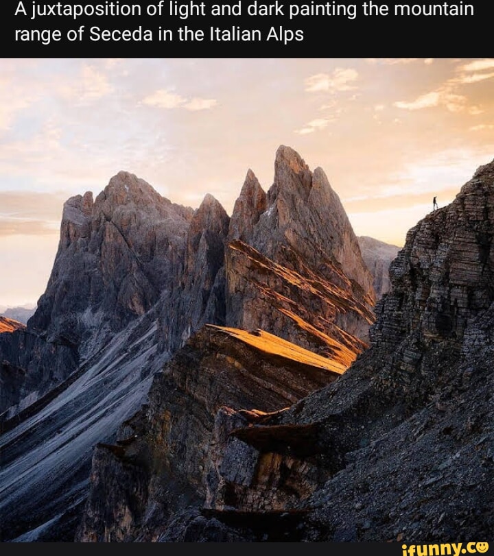 Juxtaposition memes. Best Collection of funny Juxtaposition pictures on ...