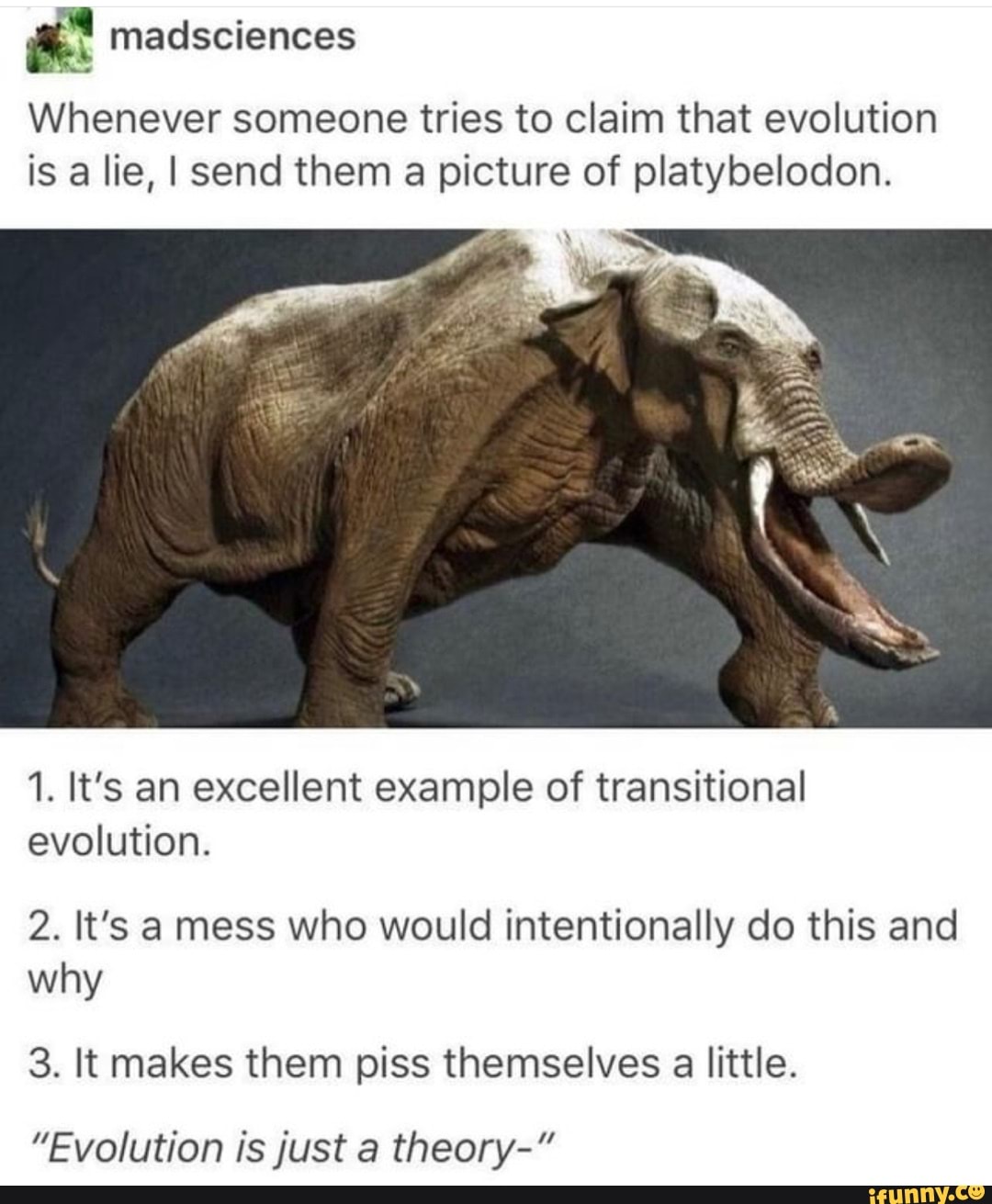 Platybelodon memes. Best Collection of funny Platybelodon pictures on ...