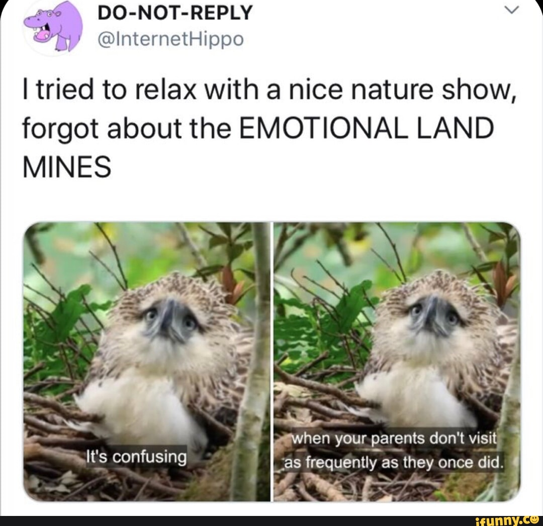 Why is there a weird shaped Spotify logo next to my name? by Gwn_Jorn ...