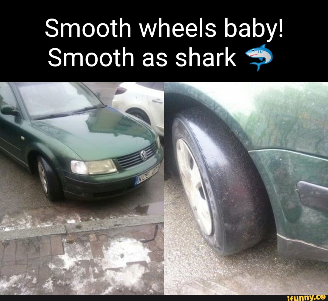 Smooth wheels baby! Smooth as shark - iFunny