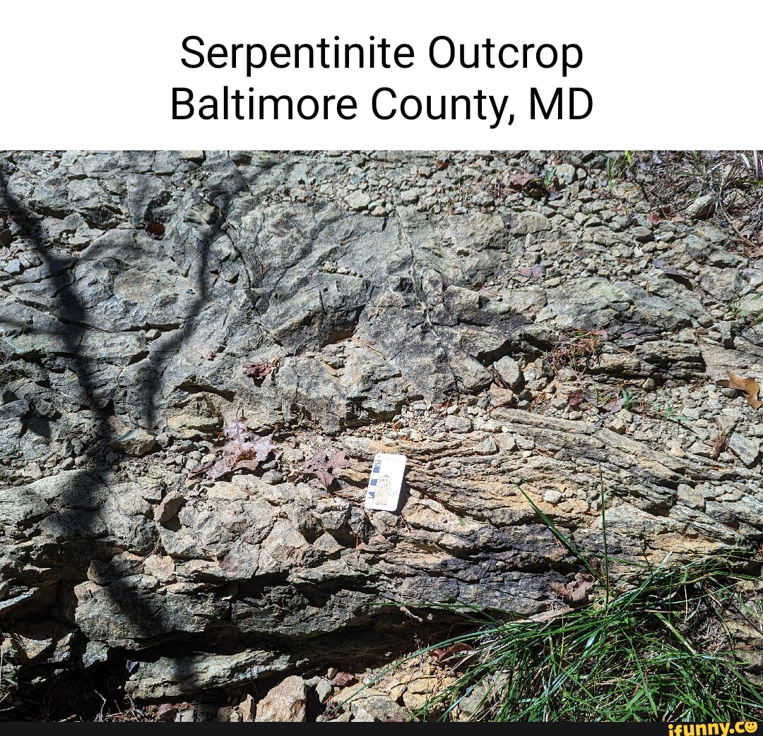 Serpentine memes. Best Collection of funny Serpentine pictures on iFunny