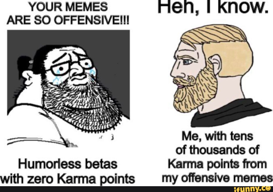 YOUR MEMES men, I KNOW. ARE SO OFFENSIVE!!! Me, with tens of thousands ...
