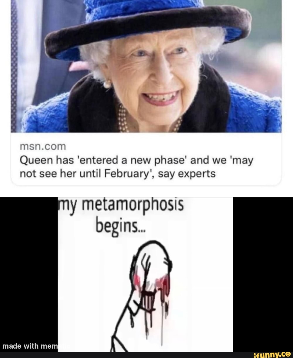 Video memes wFcSeOoM6 by SovietSponge: 0.6K comments - )
