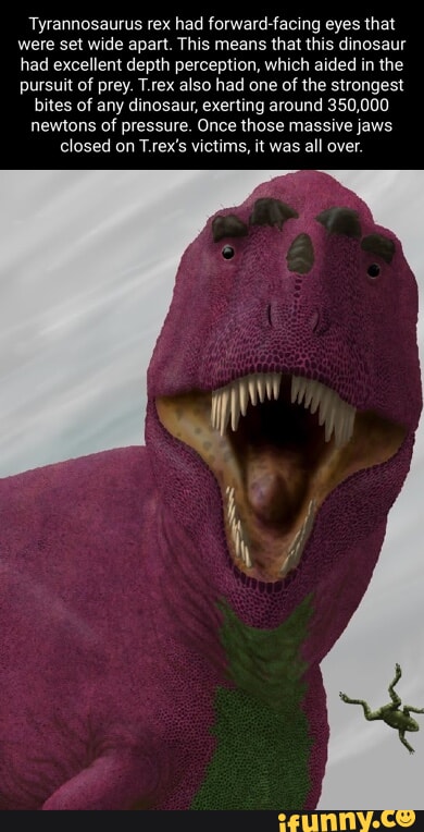 Tyrannosaurus rex had forward-facing eyes that were set wide apart ...