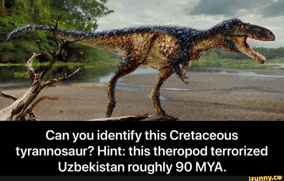 Can you identify this Cretaceous tyrannosaur? Hint: this theropod ...