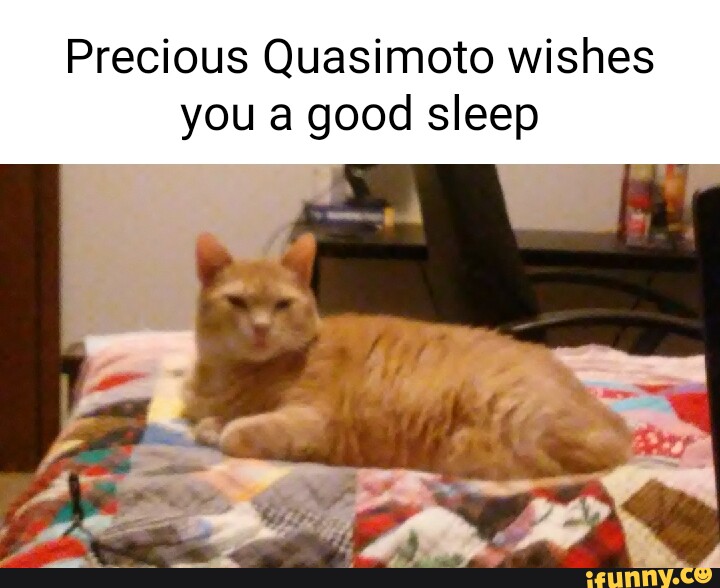 Quasimoto memes. Best Collection of funny Quasimoto pictures on iFunny