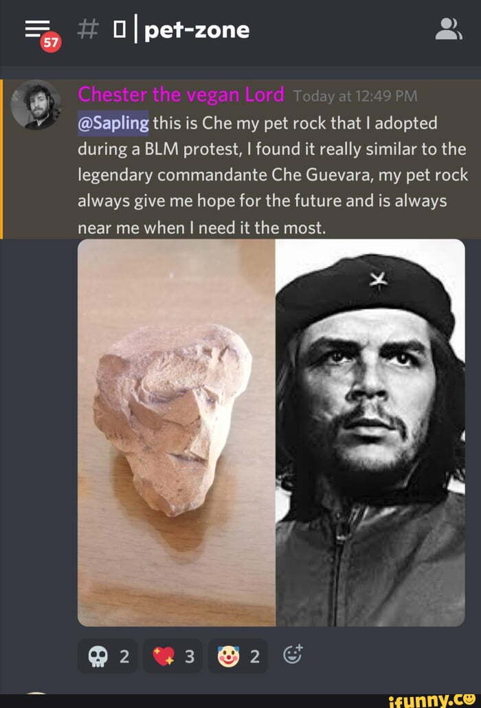 Che_guevara memes. Best Collection of funny Che_guevara pictures on iFunny