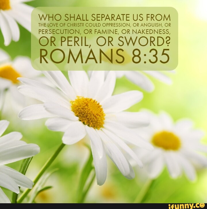 Persecution memes. Best Collection of funny Persecution pictures on iFunny