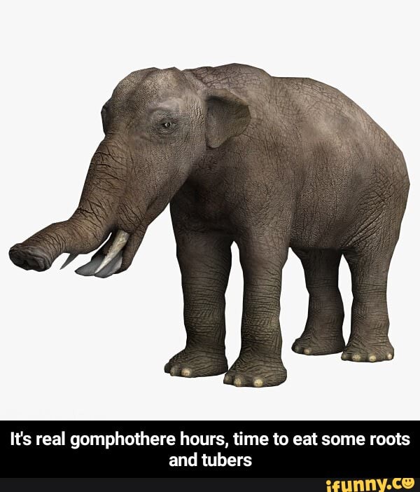 Its real gomphothere hours, time to eat some roots and tubers - It's ...