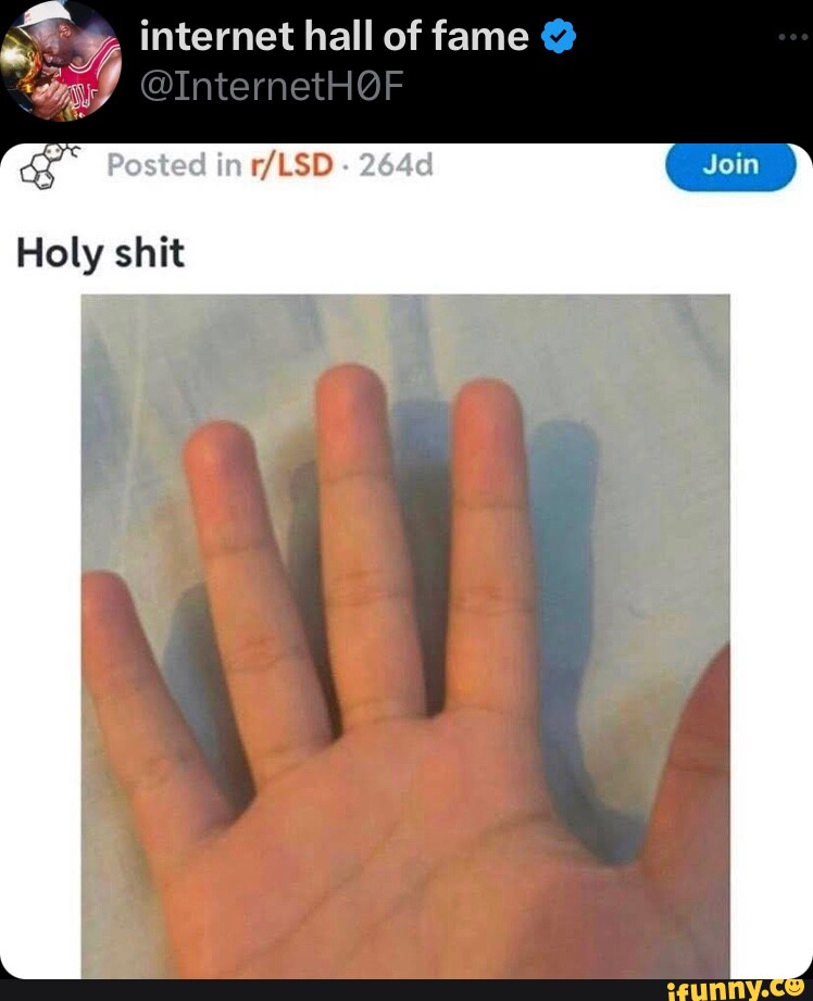 Internet hall of fame @linternethOF Posted in - 264d Holy shit - iFunny